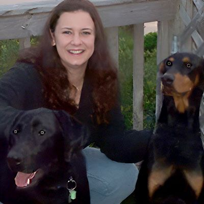 5 Of the World’s Strongest Insects | PetMojo