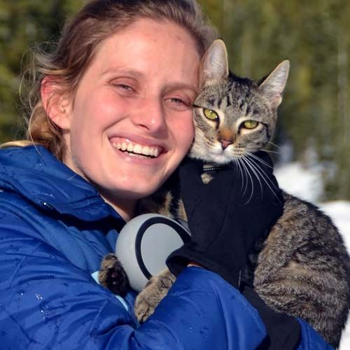 5 Fascinating Facts About the Gray Wolf | PetMojo