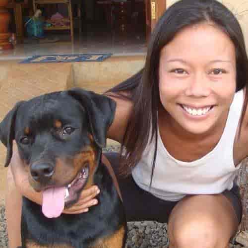 What To Do If You Spot a Coyote | PetMojo