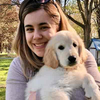 The Loyal Golden Retriever: Traits and Characteristics | PetMojo