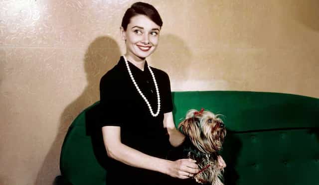 Famous Pets for Famous People: 8 Celebrity Companions | PetMojo